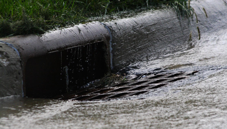 Division of Environmental Quality (DEQ)